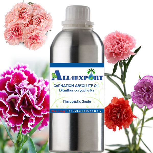 CARNATION ABSOLUTE OIL